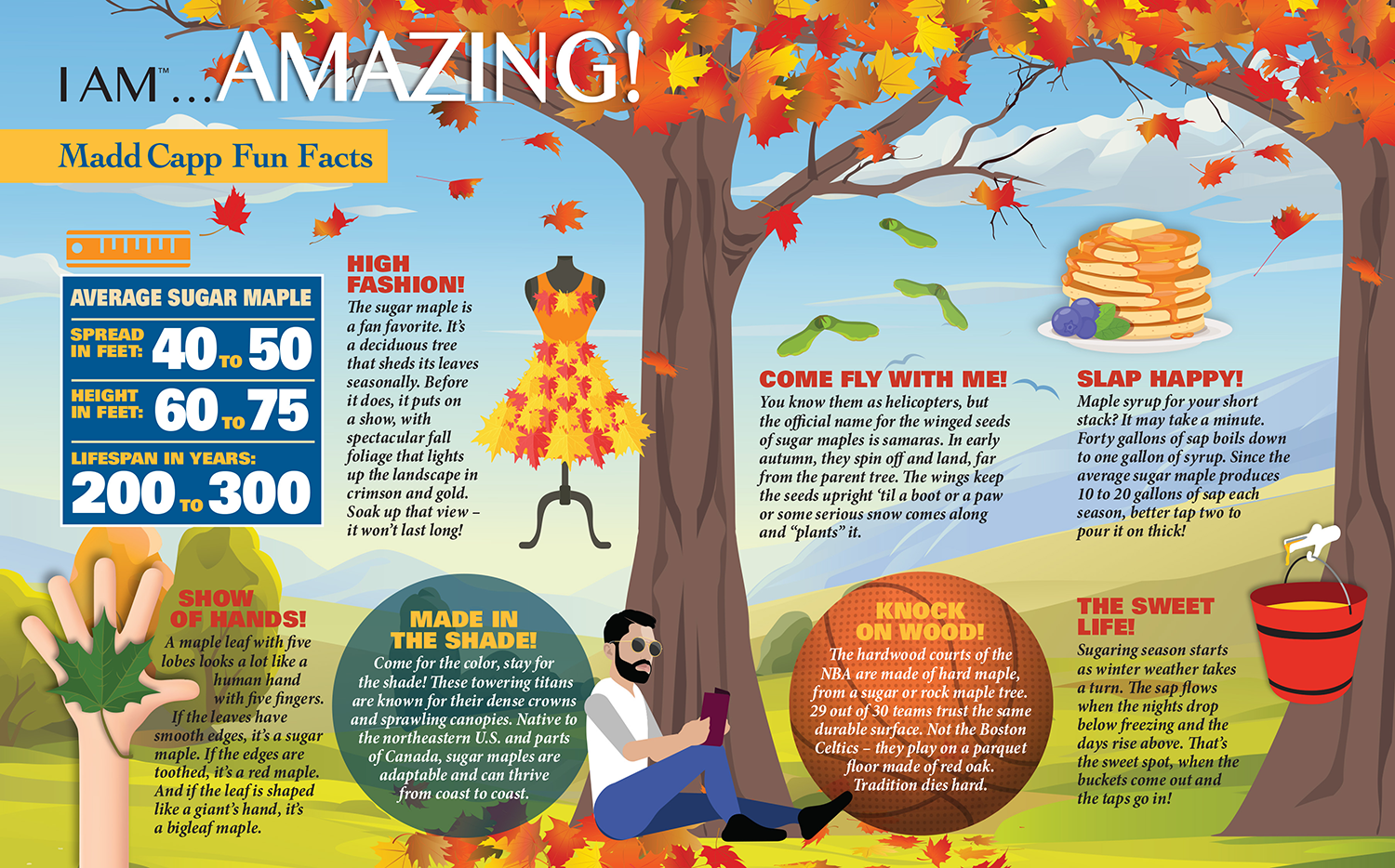 I AM SUGAR MAPLE 1000 – Madd Capp Games