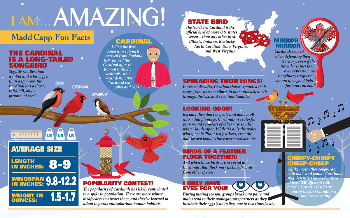 I AM CARDINAL 1000 – Madd Capp Games