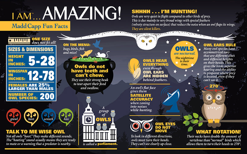 I AM OWL 300 – Madd Capp Games