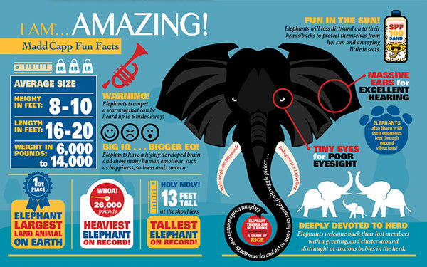 I AM ELEPHANT 700 – Madd Capp Games