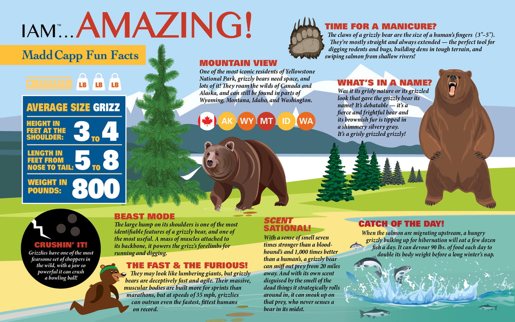 I AM GRIZZ 1000 – Madd Capp Games