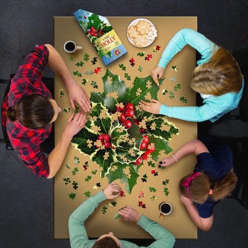 I AM HOLLY 350 – Madd Capp Games